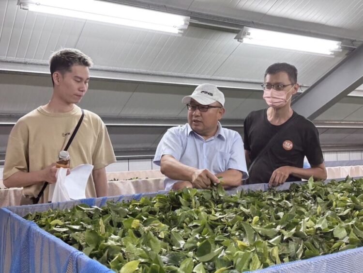 狂！TEA TOP加盟展放大絕 集資解決「缺工海嘯」 | beanfun!