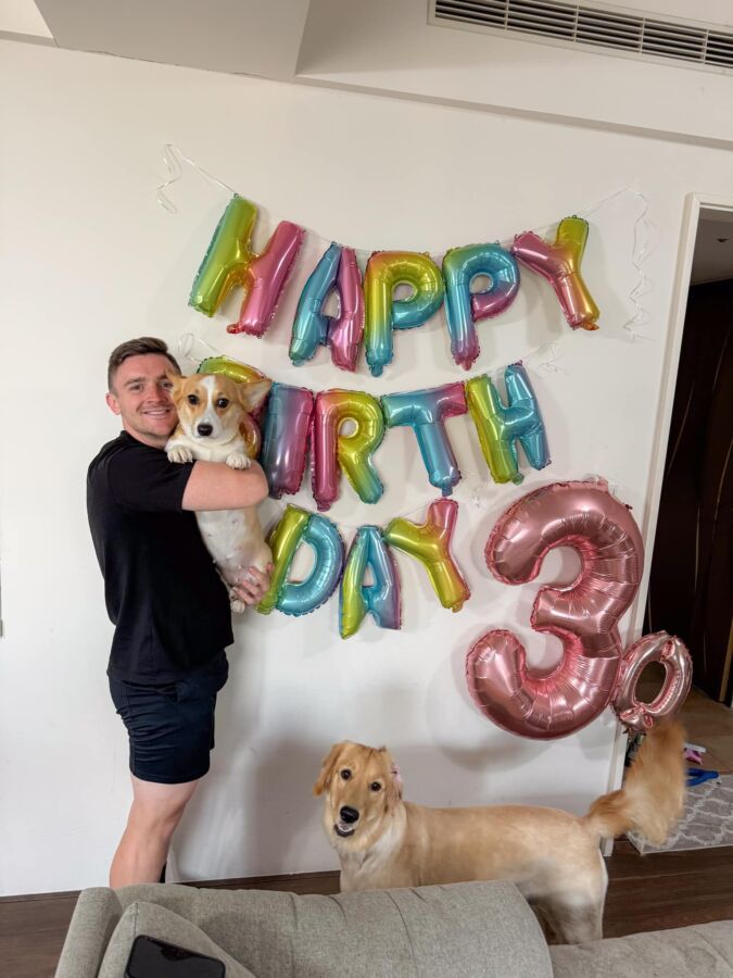 美籍網紅評立法院像WWE摔角！犯眾怒嘆「暴力不會解何問題」 | 蕃新聞